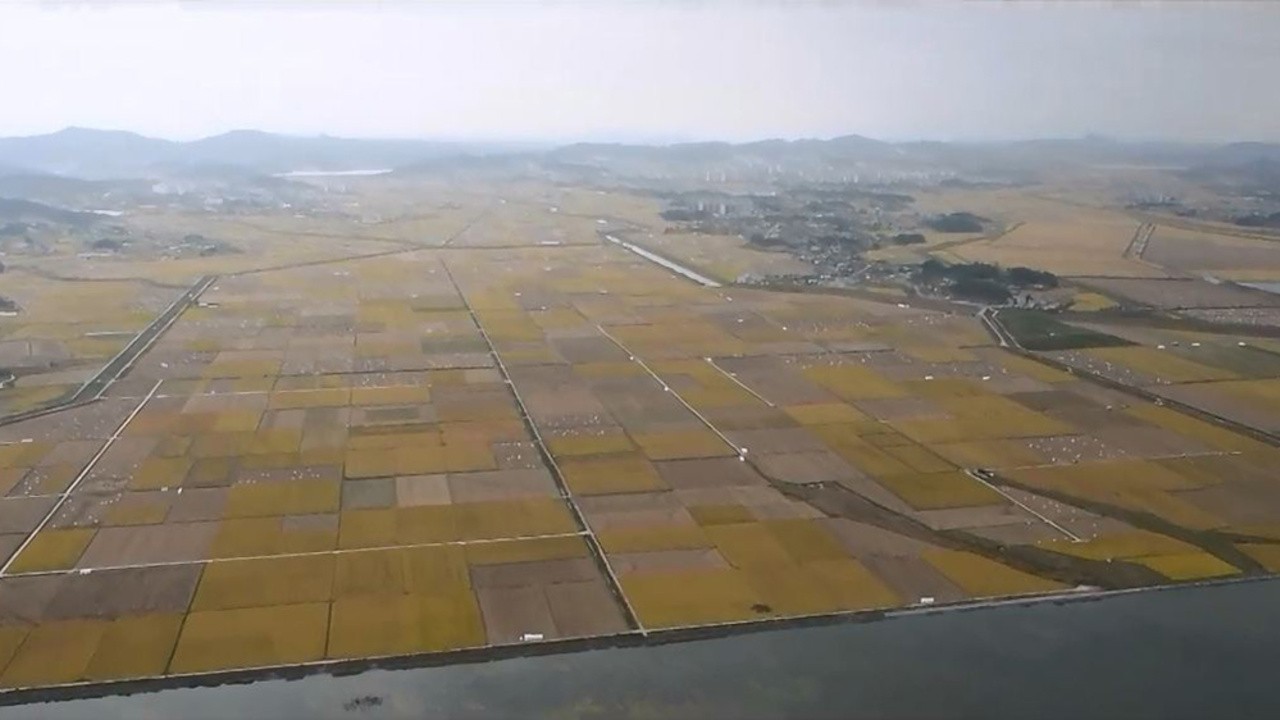 Land Of Sorrow 2018 Mubi