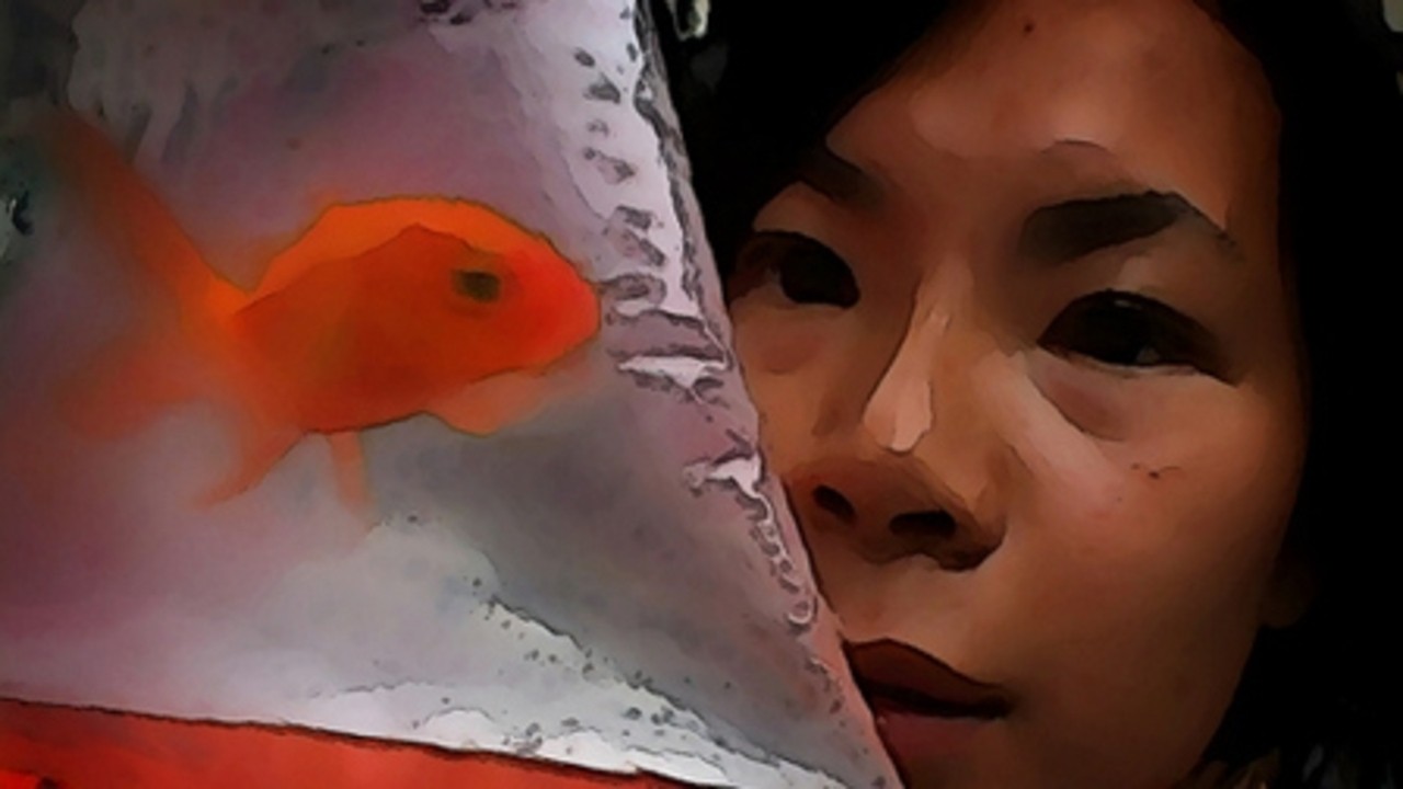 Year of the Fish (2007) | MUBI