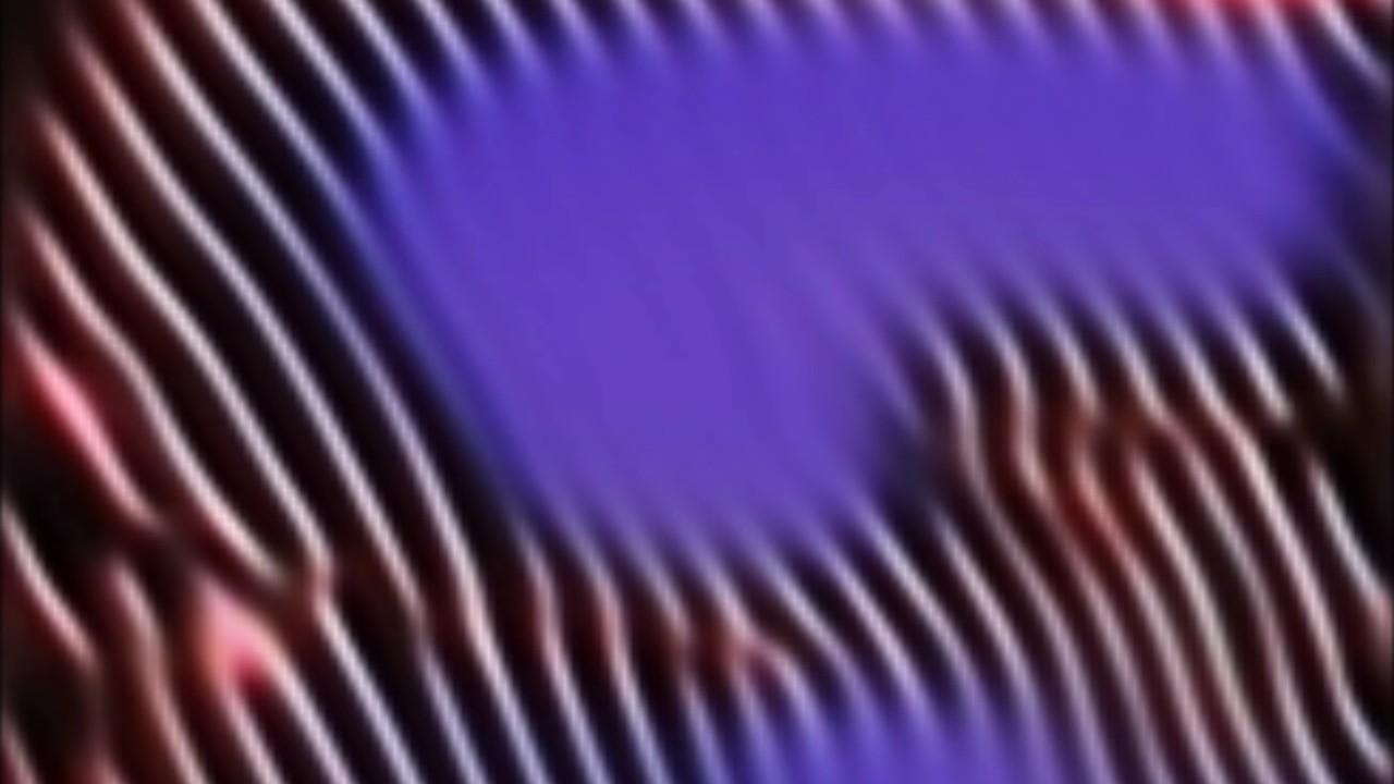 Amusement Park Home Movies Inspire the Algorithm (2017) | MUBI