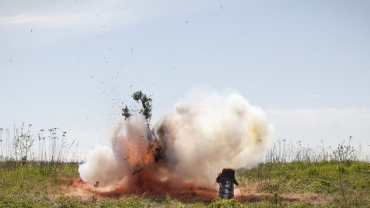 Log Head (2015) | MUBI