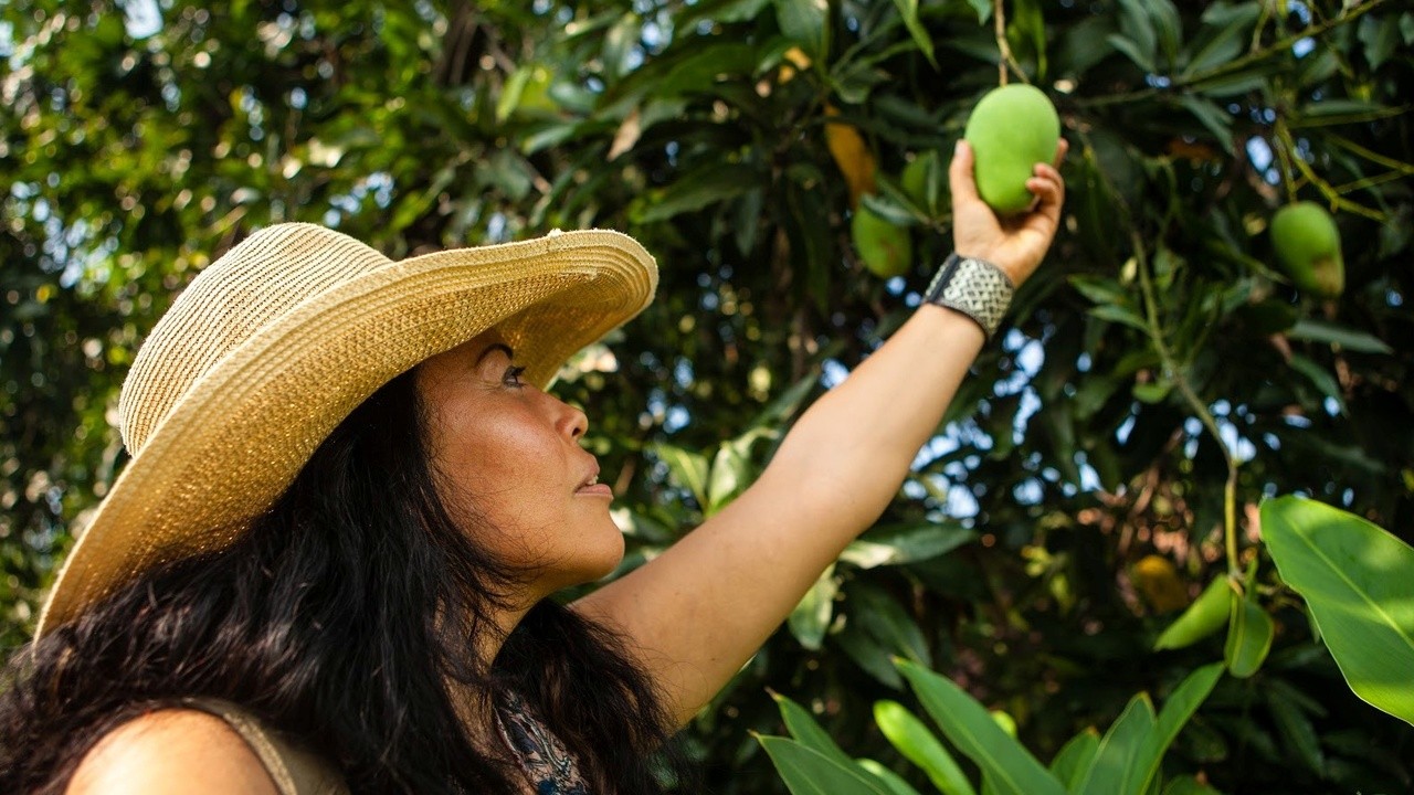 The Fruit Hunters (2012) | MUBI