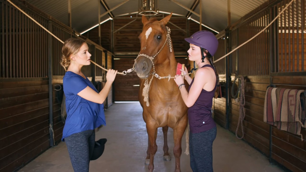 Destined to Ride (2018) | MUBI