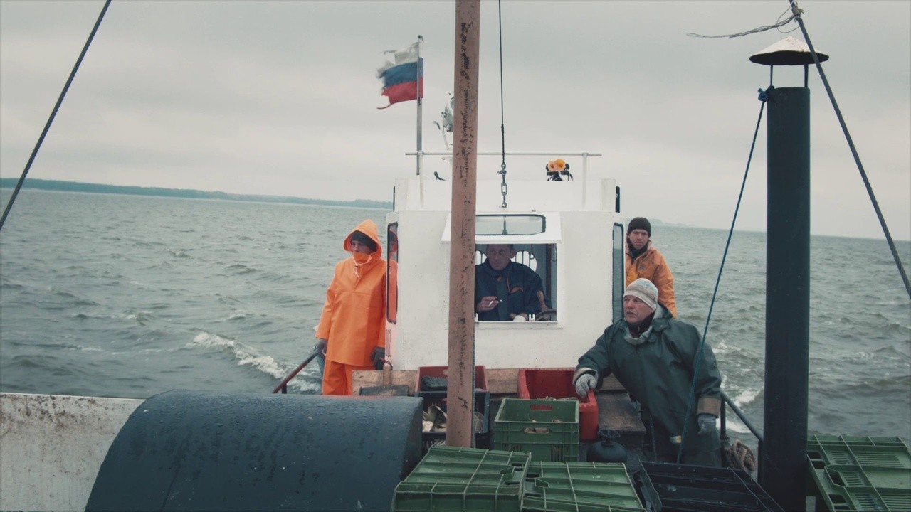 Blurred Border (2018) | MUBI