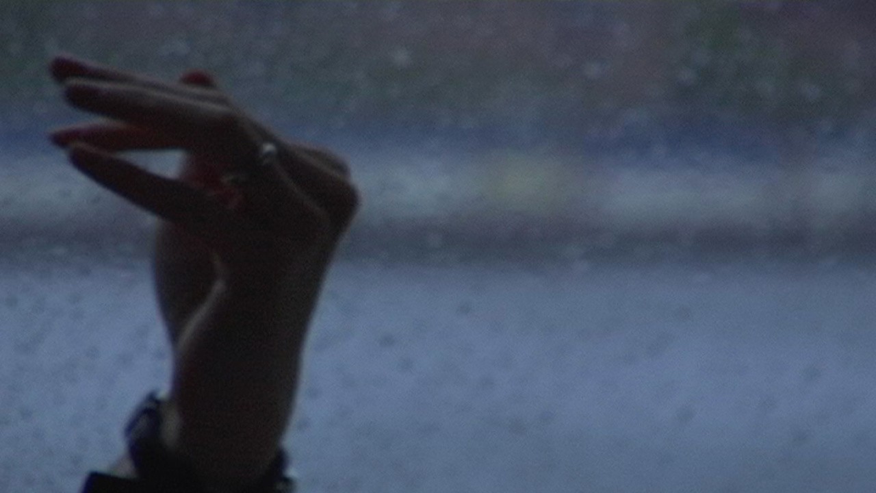 The Task of the Translator (2010) | MUBI