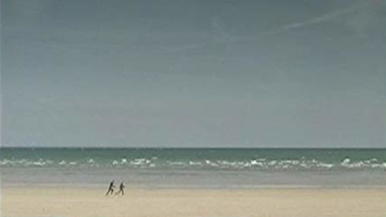 Les mouches (2008) | MUBI