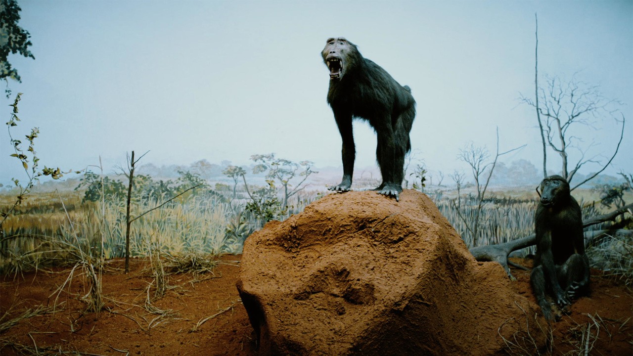 We Shall Return (2017) | MUBI