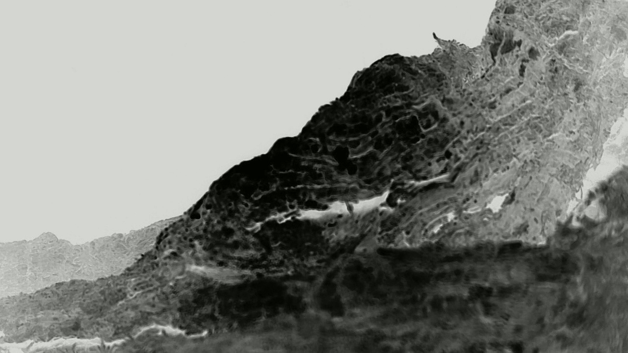 Oberlus (2018) | MUBI