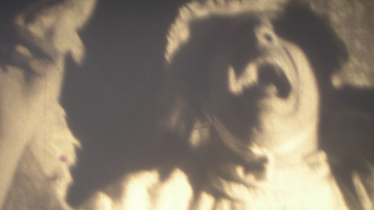 Overstimulated (1963) | MUBI