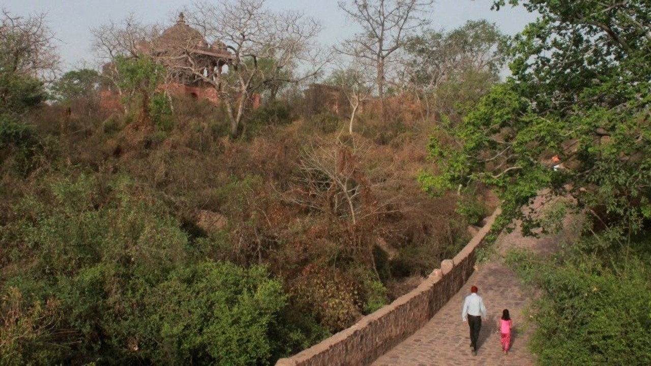 Missing Girls 2018 Mubi