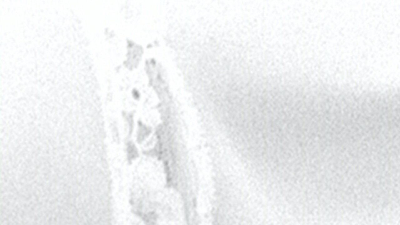 Violent Days (2004) | MUBI