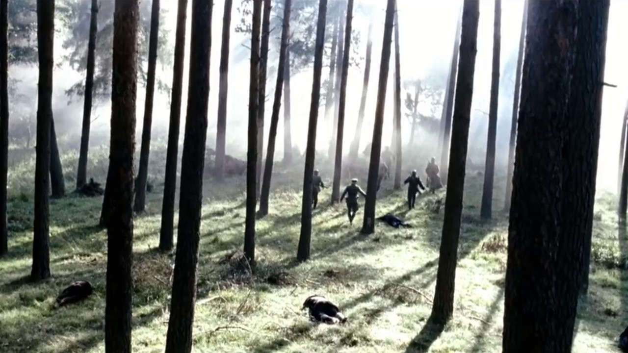 The Shadow Forest (2014) | MUBI