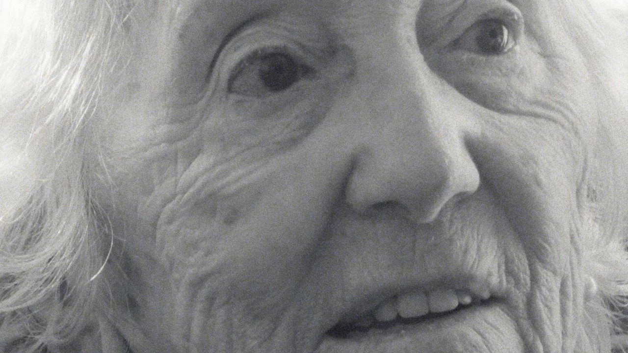 Still Fireflies (2018) | MUBI