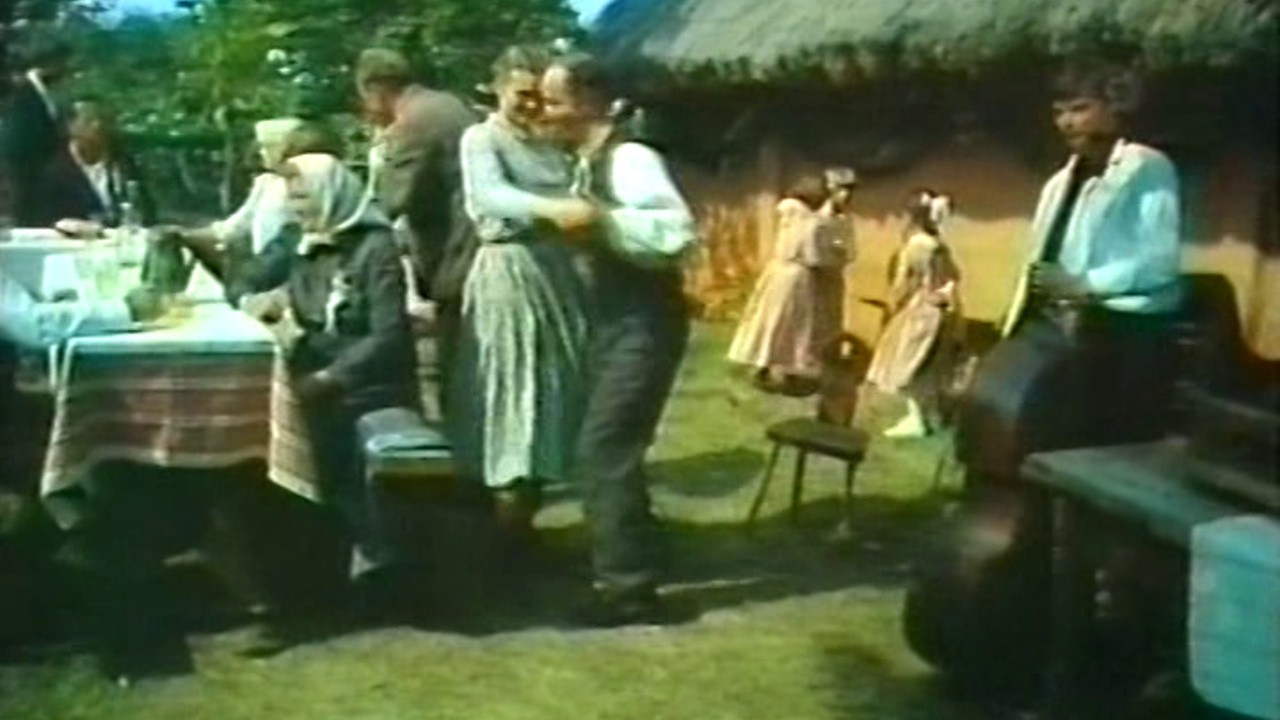 The Merry Wedding (1984) | MUBI