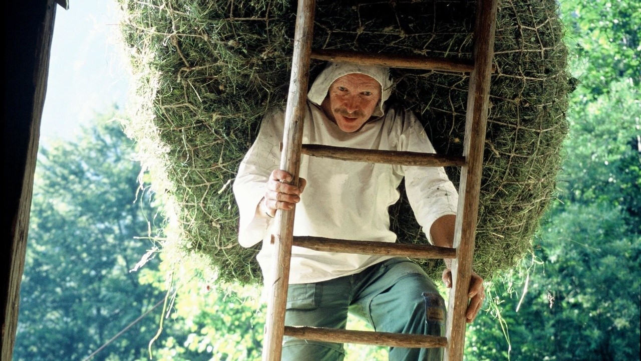 Alpine Saga: A Film About Mountain Haymaking (2006) | MUBI
