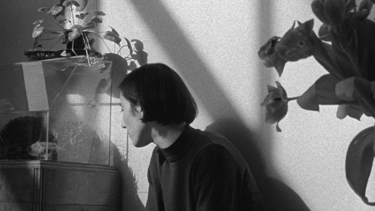 La lyre à jamais illustra le taudis (2018) | MUBI