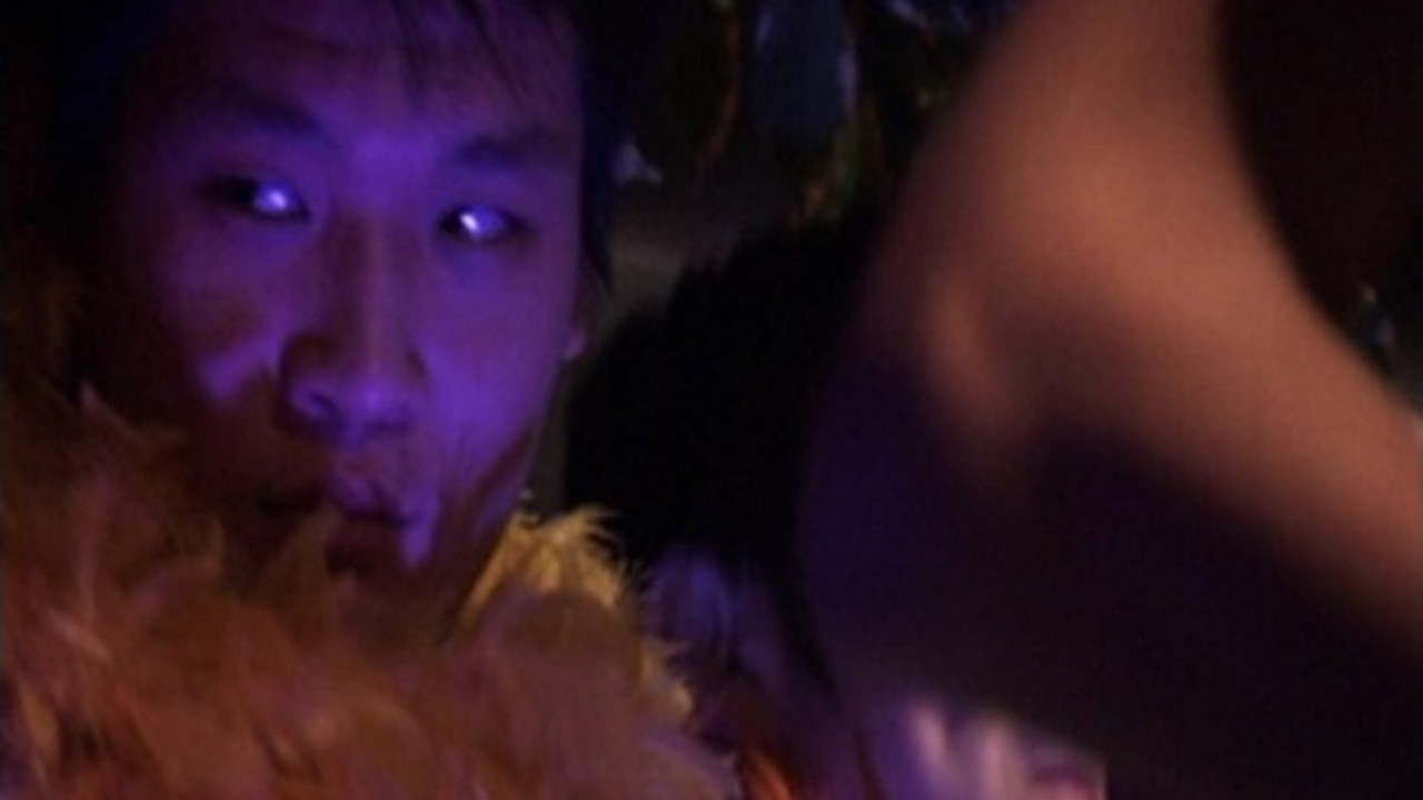 My Camera Doesn't Lie (2003) | MUBI