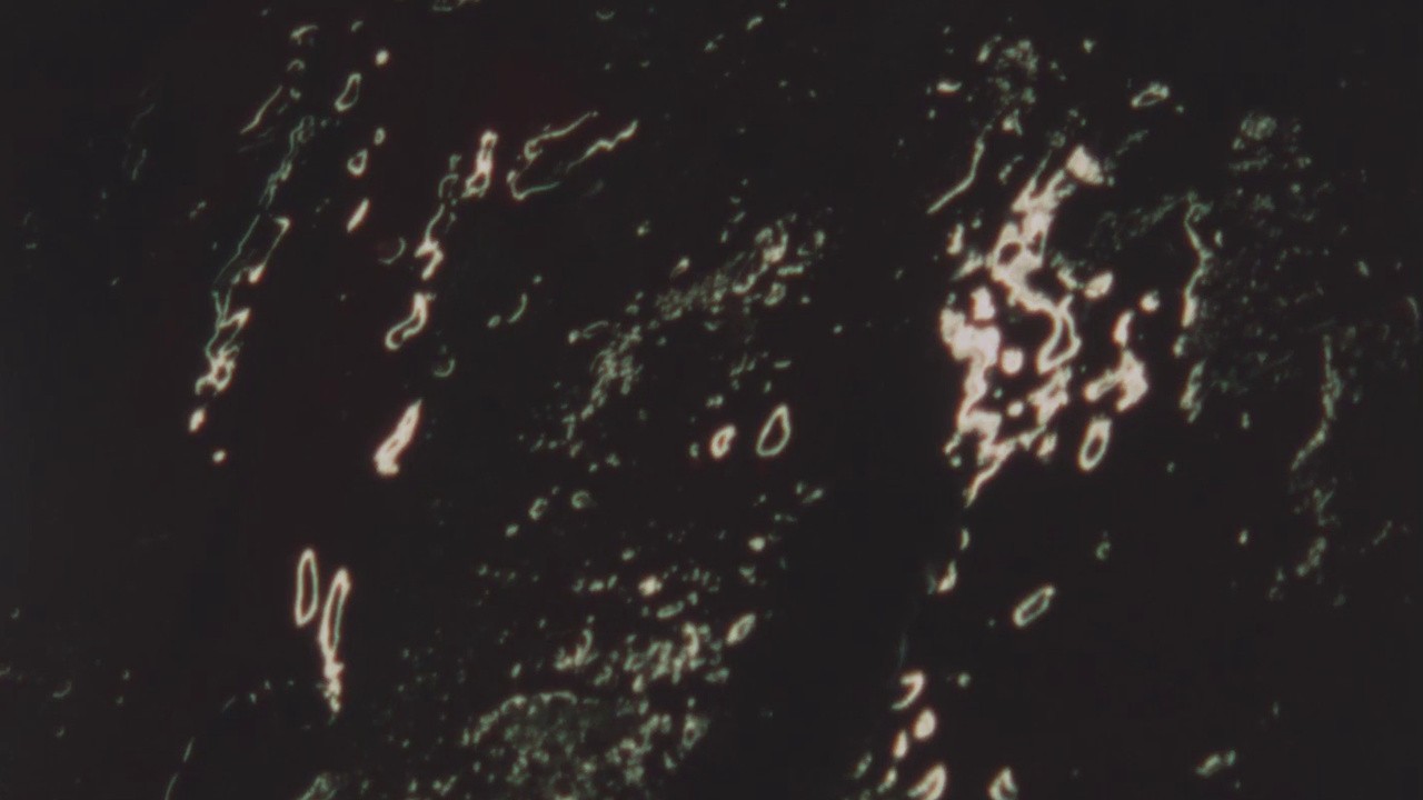 The Melody of Decomposition (2018) | MUBI