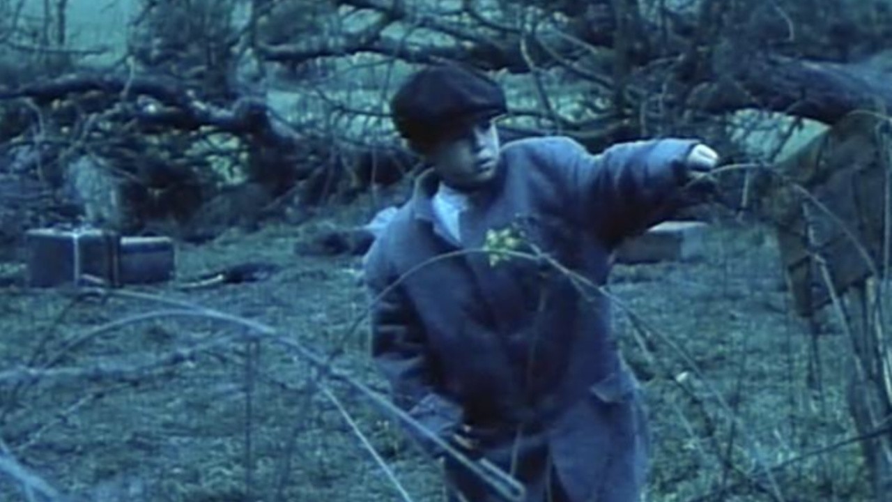 Doudou perdu (1993) | MUBI