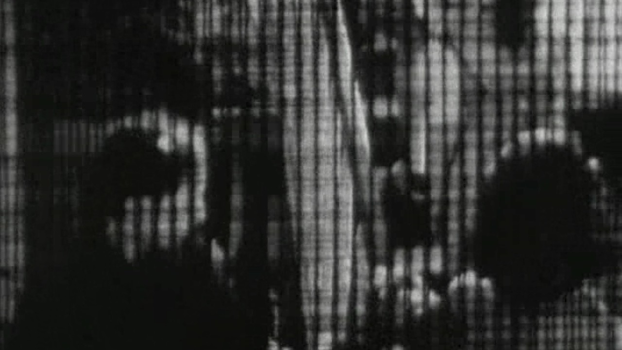 Complex life (1995) | MUBI