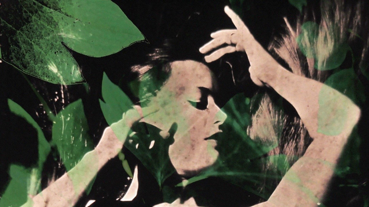 Birth of the Alseides (2012) | MUBI