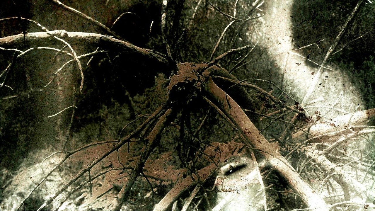 Spectral Landscape 2015 Mubi