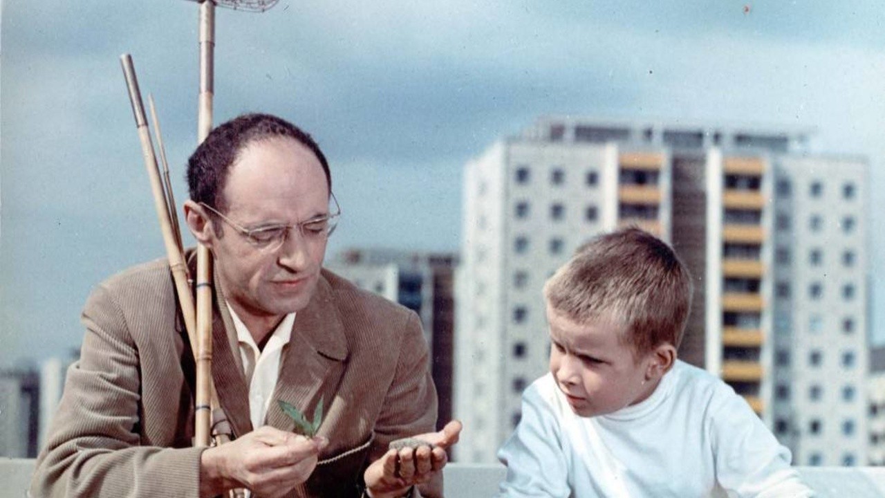 When You Grow Up, Dear Adam (1965) | MUBI