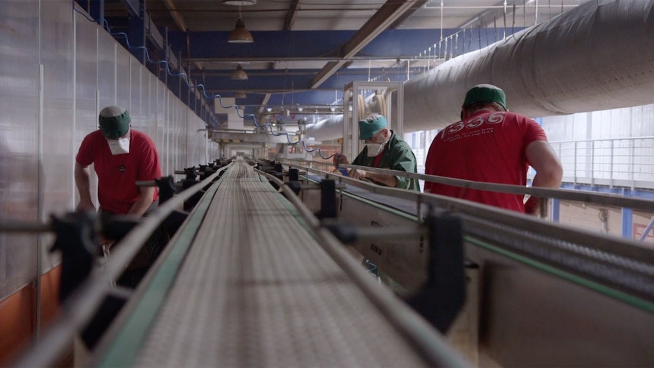 Taste of Hope (2019) | MUBI