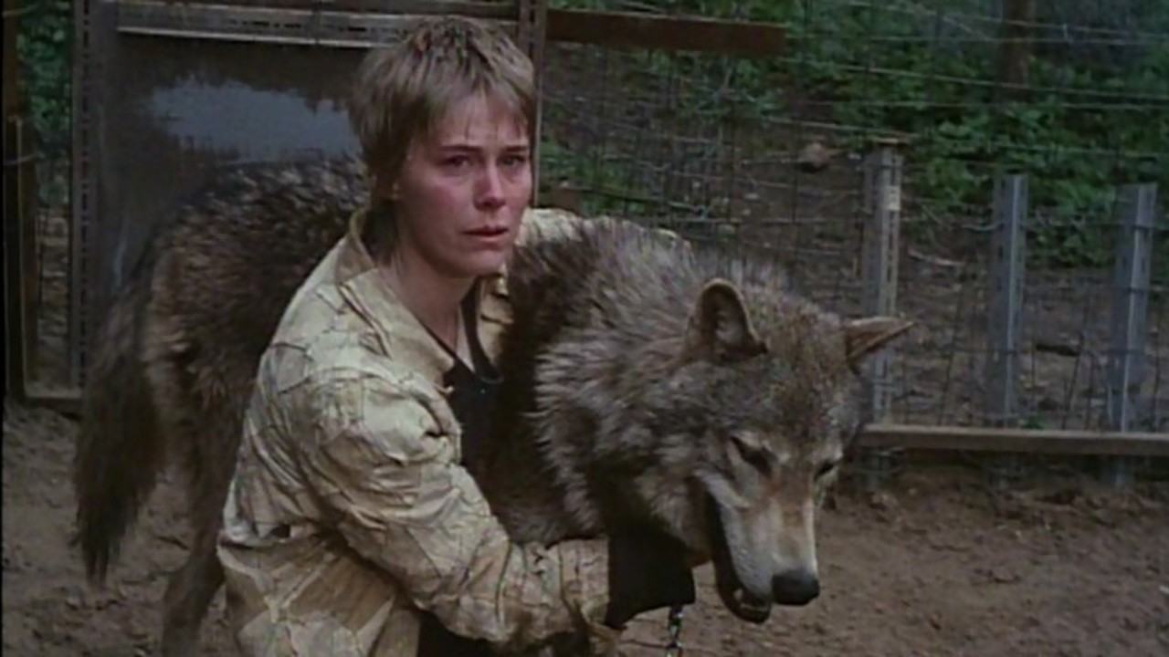 Time of the Wolf (1981) | MUBI