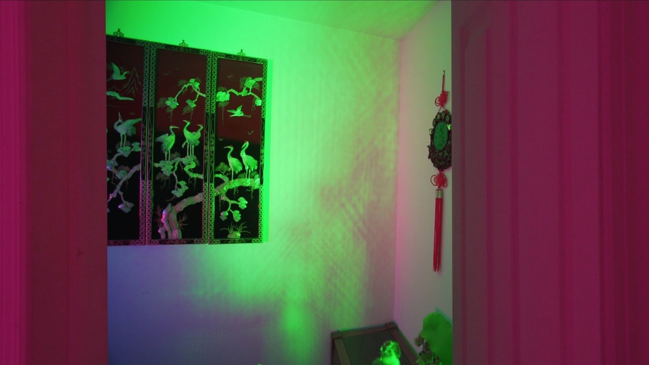 Five Movements 2018 Mubi