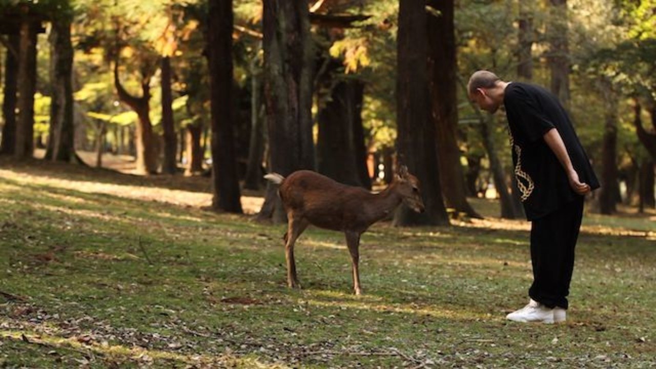 Dear Deer (2019) | MUBI