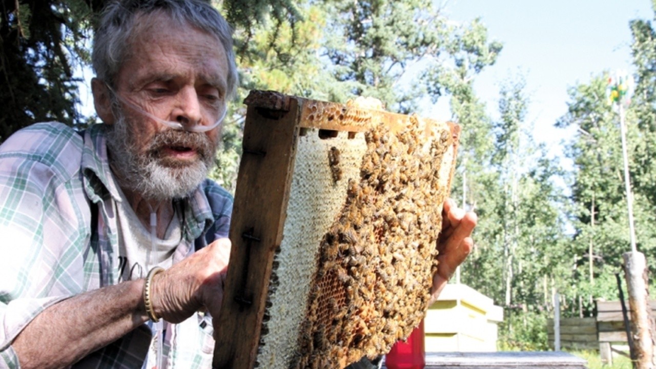 How to Bee (2019) | MUBI