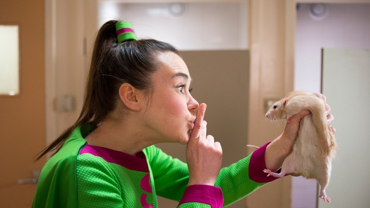 Super Miss (2018) | MUBI