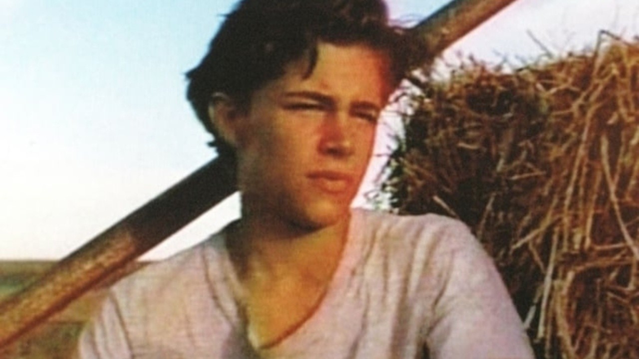 Shimmer (1993) | MUBI