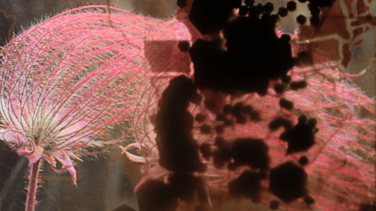 From Ally to Accomplice (2015) | MUBI