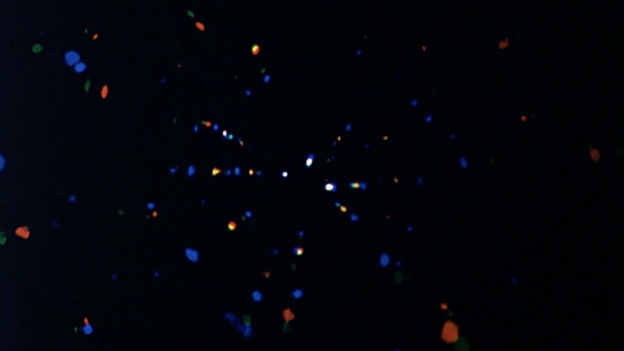 You Are Not Alone (2017) | MUBI