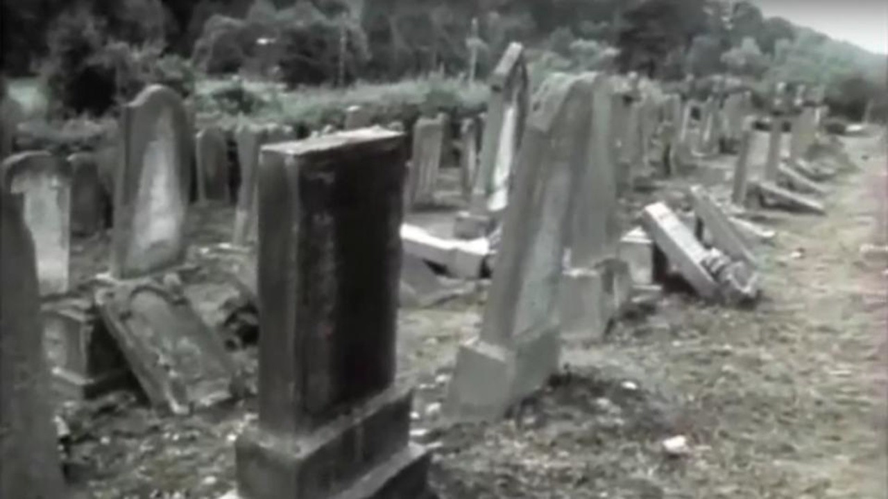 Now…After All These Years (1981) | MUBI