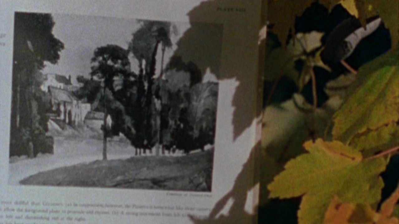 Four Shadows (1978) | MUBI