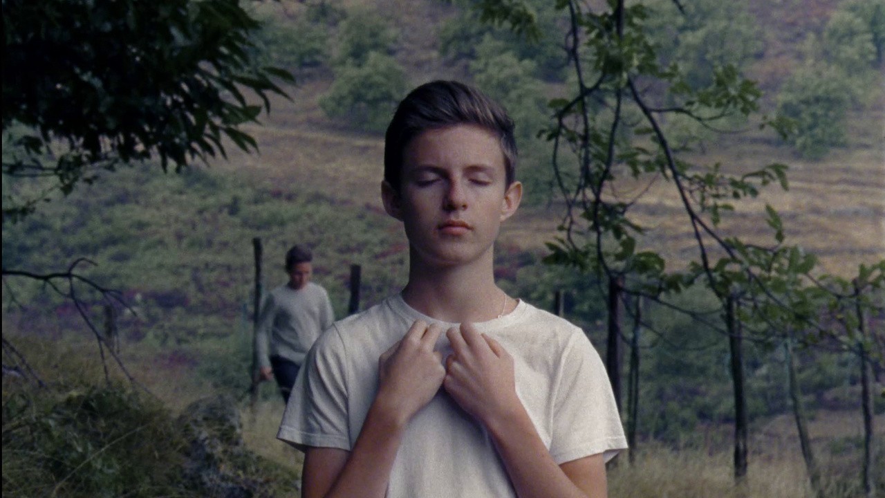 Knockdown (2016) | MUBI