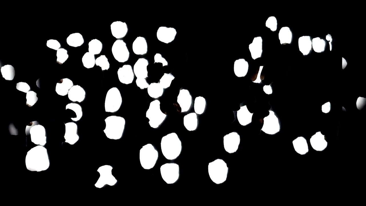 Ghost Dance (2019) | MUBI