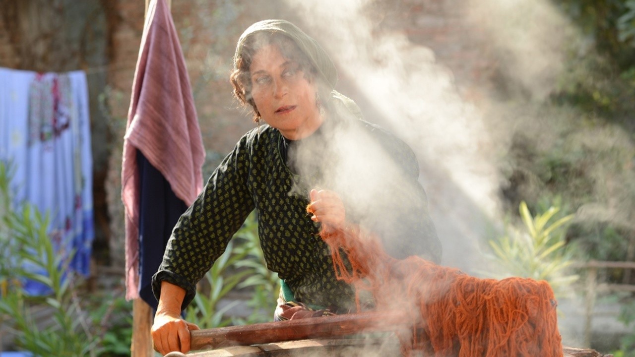 African Violet (2019) | MUBI