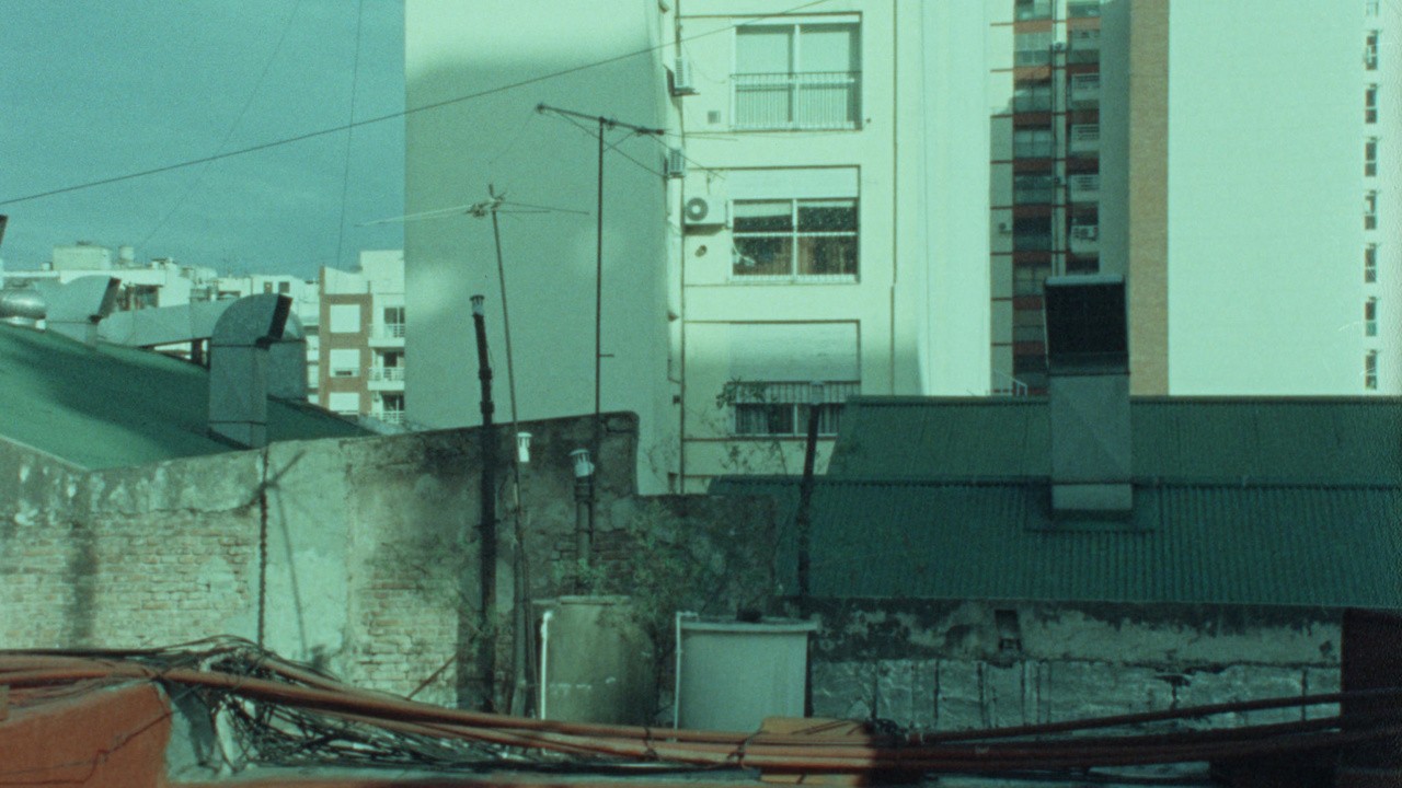 Culebra Jr. (2013) | MUBI