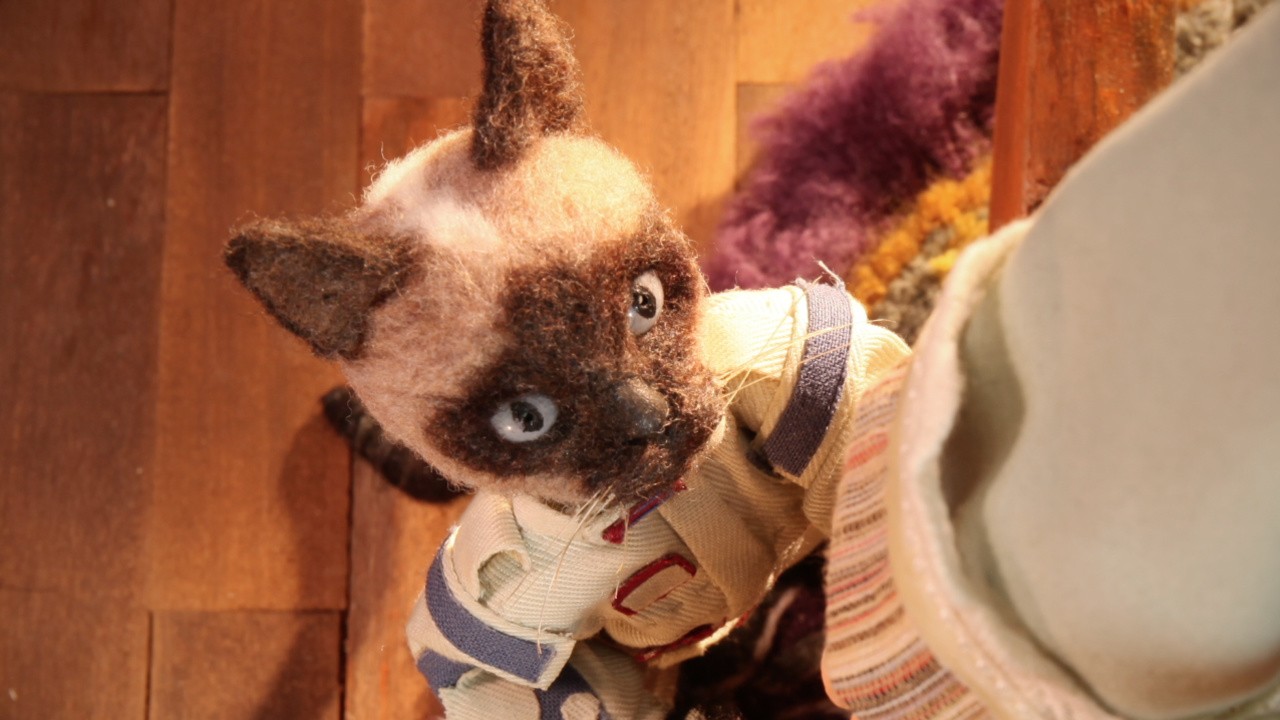 The Quintet of the Sunset (2018) | MUBI