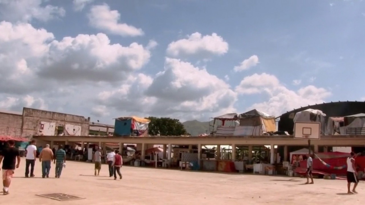 The Cause (2019) | MUBI