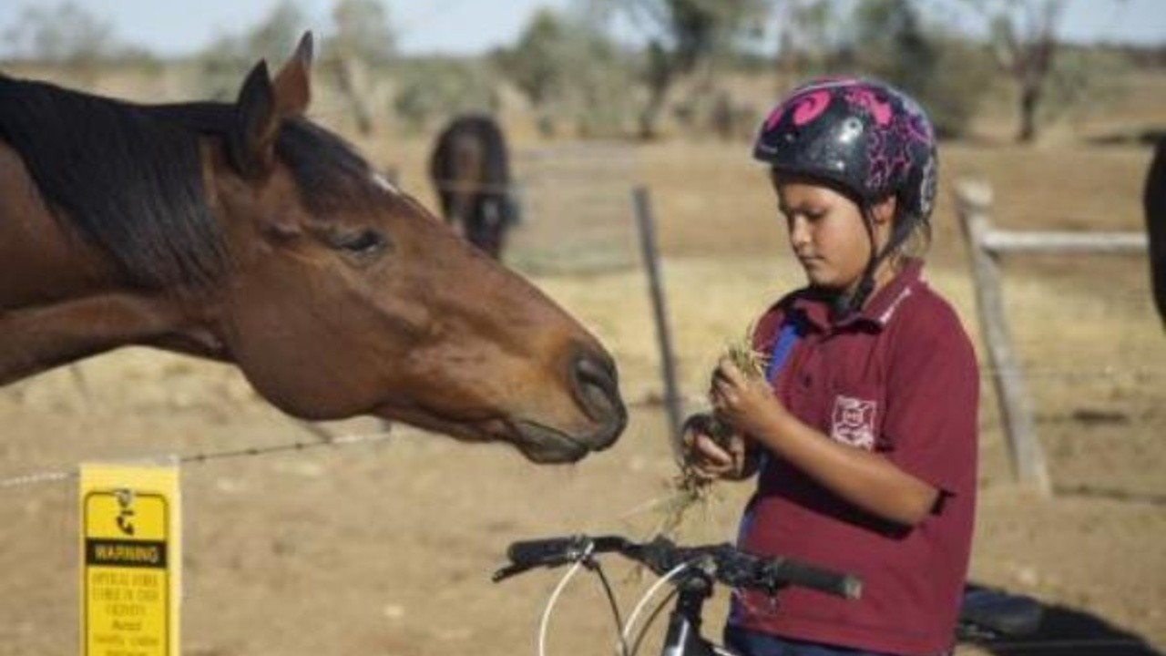 199 Little Heroes: Koolee from Australia (2018) | MUBI