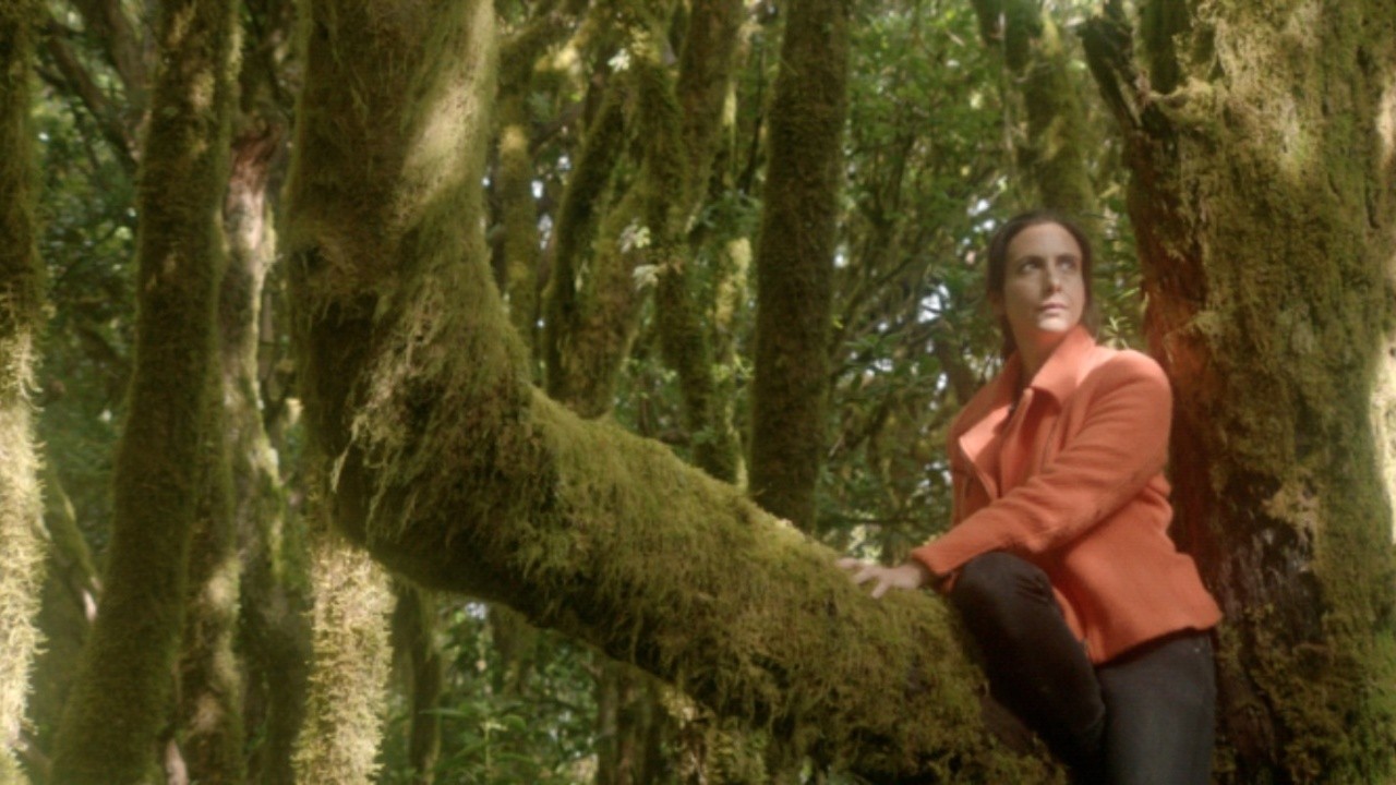 Common Birds (2019) | MUBI