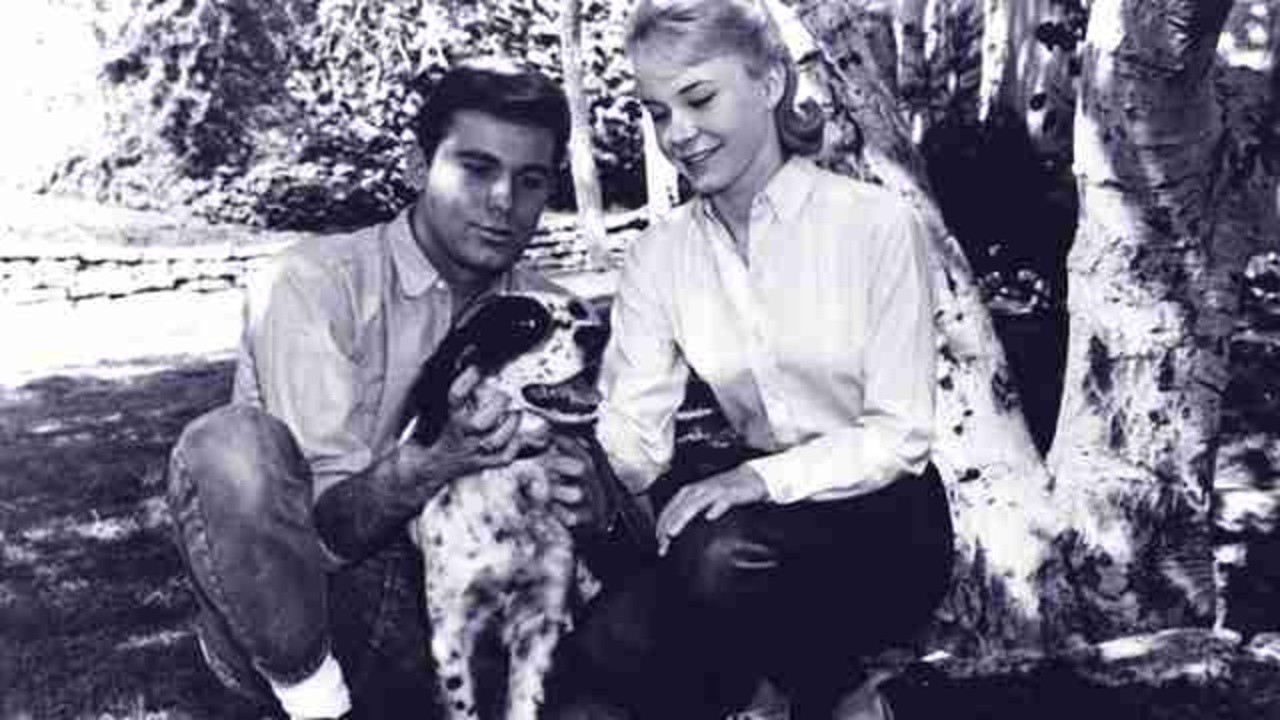 Hanna Landy Spouse