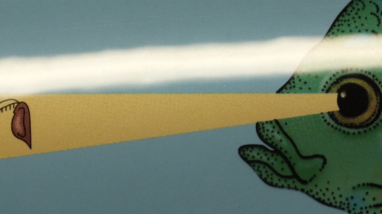 Patient's Copy (2019) | MUBI