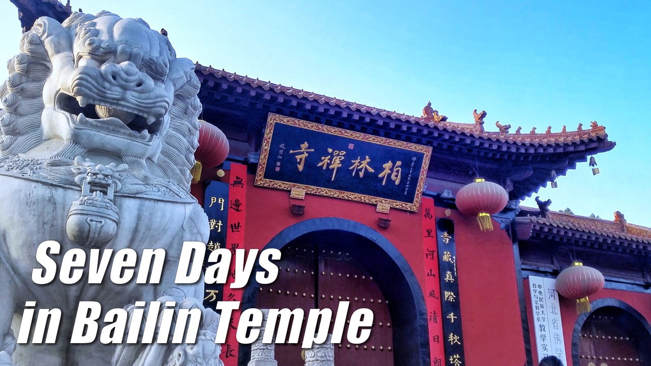 Seven Days in Bailin Temple (2018) | MUBI