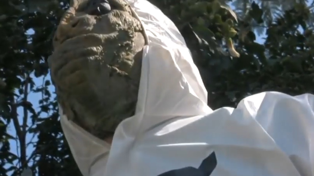 Invasion of the Reptoids (2011) | MUBI