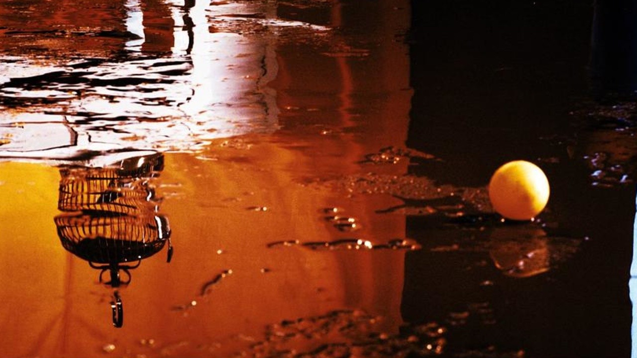 Strange view of animals (2019) | MUBI